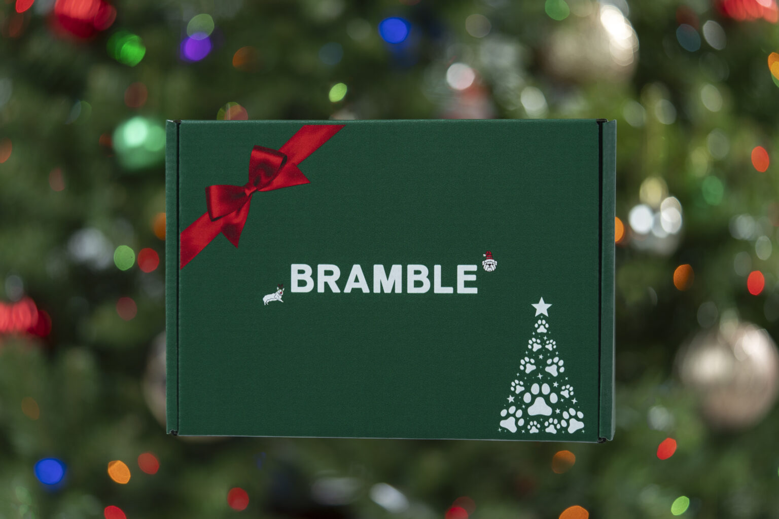 Best Gifts For Dogs and Dog lovers - Bramble Pets